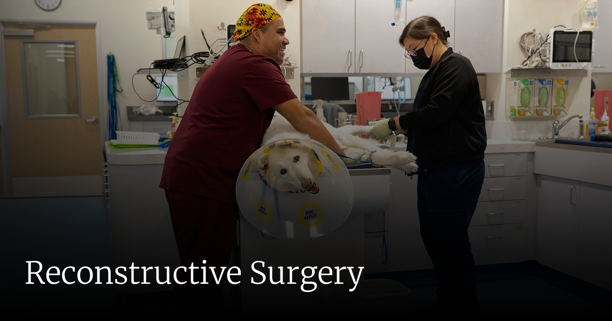 Reconstructive Surgery | OC, VSSOC