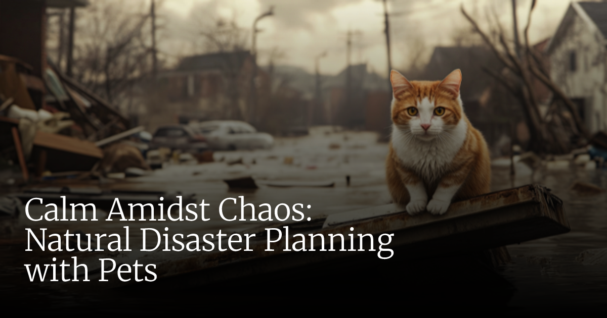 Calm Amidst Chaos: Natural Disaster Planning with Pets